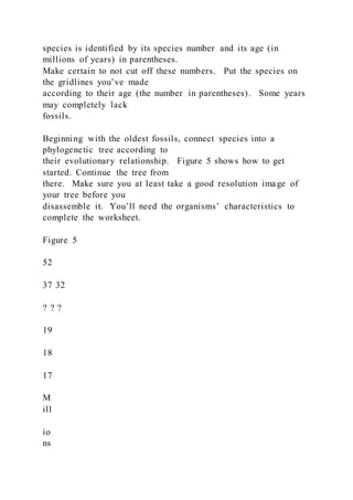 Biology 1108L – Laboratory Exercises P | DOCX