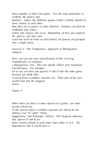 Biology 1108L – Laboratory Exercises P | DOCX