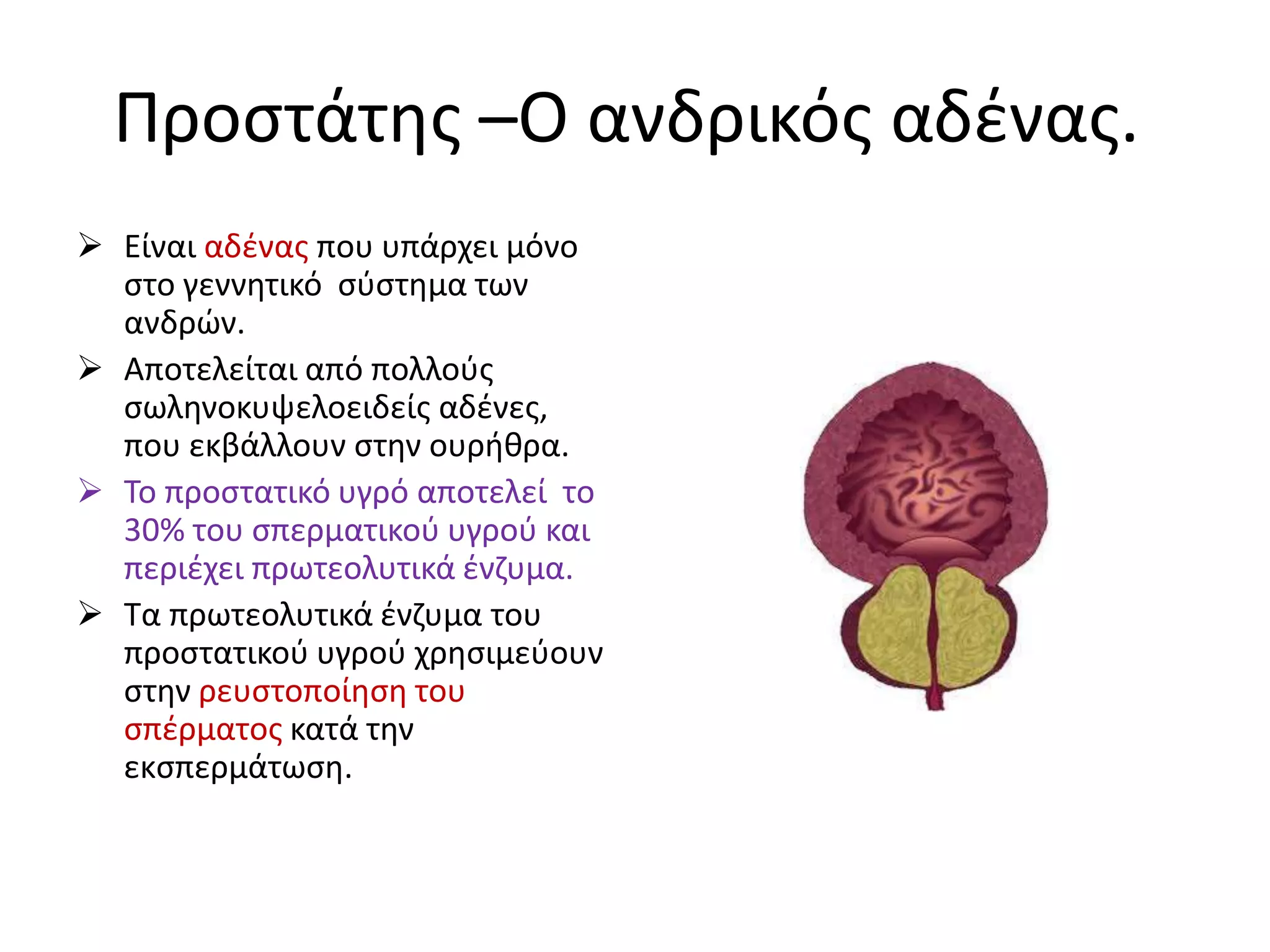Biology Α ΛΥΚΕΙΟΥ ΚΕΦ ΑΝΑΠΑΡΑΓΩΓΗΣ | PPTX