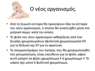 Biology Α ΛΥΚΕΙΟΥ ΚΕΦ ΑΝΑΠΑΡΑΓΩΓΗΣ | PPTX
