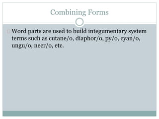 Integumentary System | PPTX