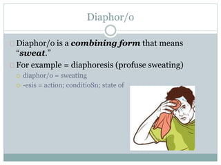 Integumentary System | PPTX