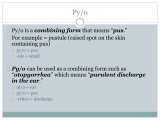 Integumentary System | PPTX