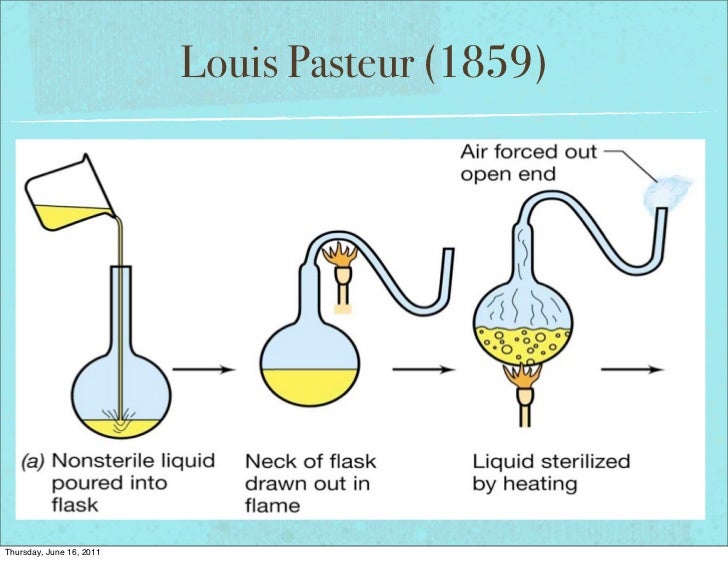 Biology 120 lecture 1 2011 2012