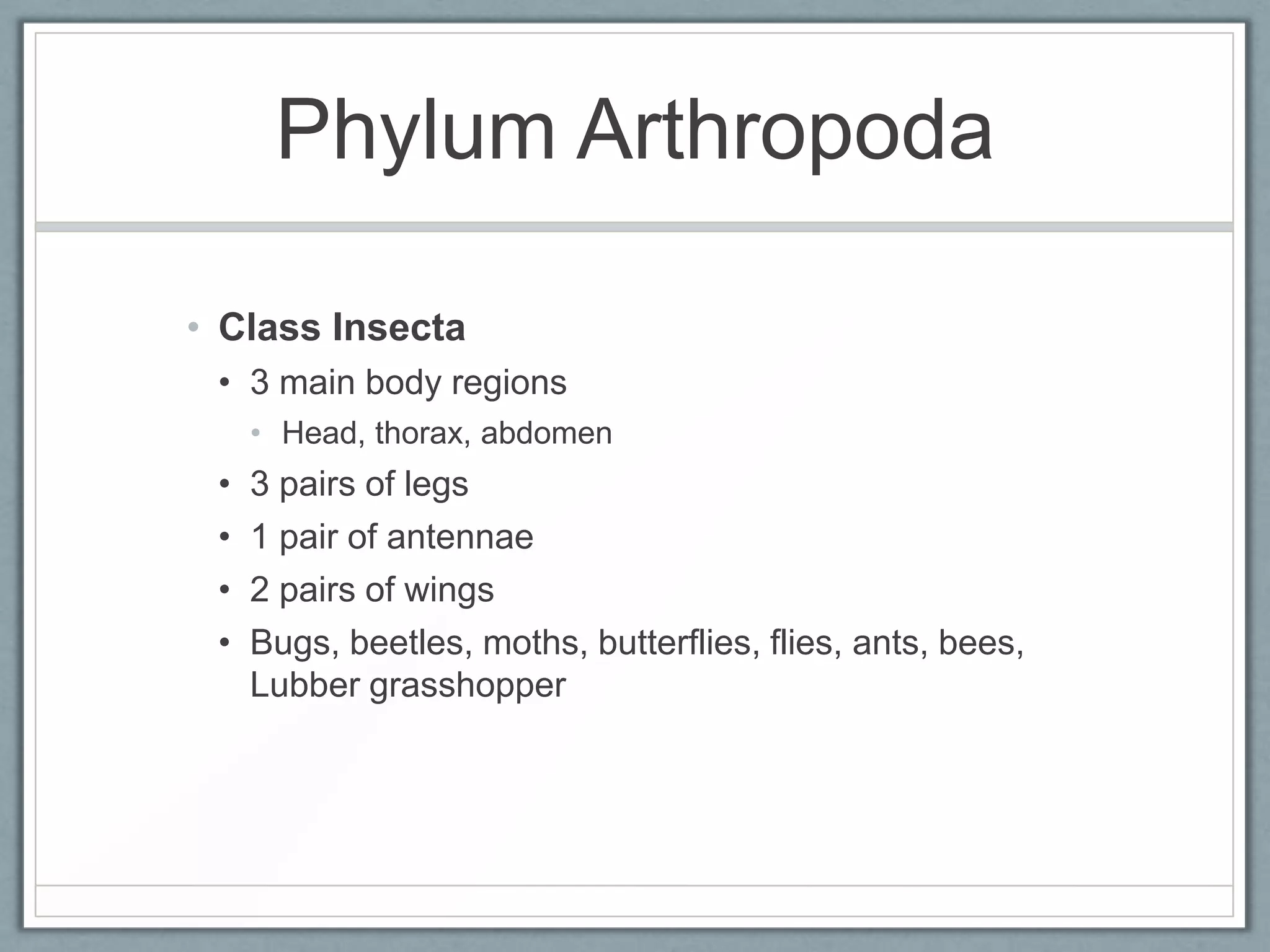 Biology 142 lab practical #2 | PPTX