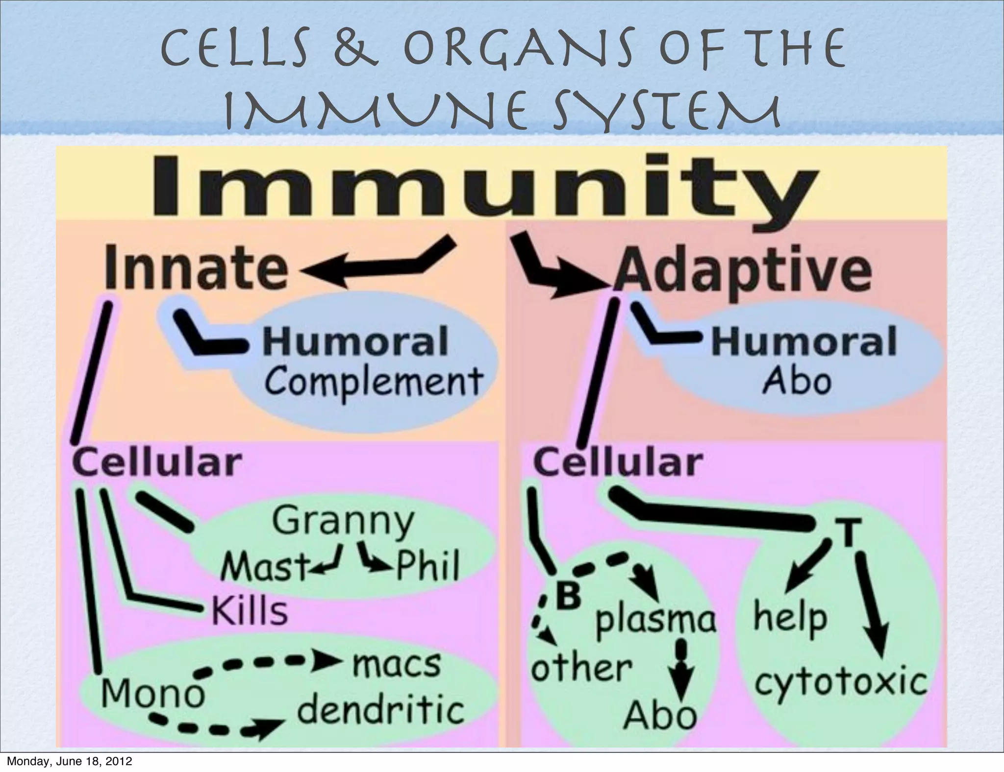 Biology 151 lecture 1 2012 2013 | PDF