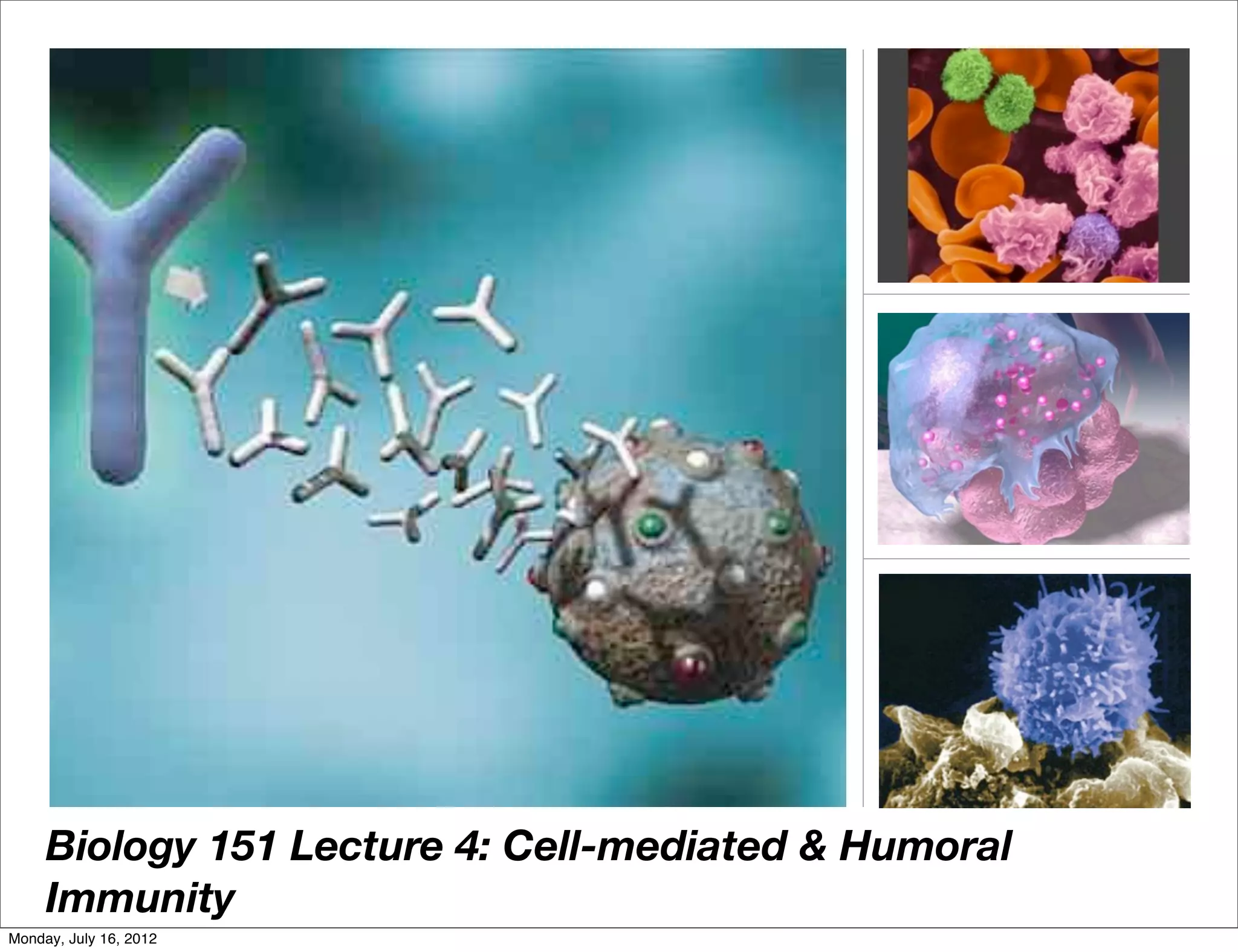 Biology 151 lecture 4 2012 2013 (part 1- cmi) | PPT