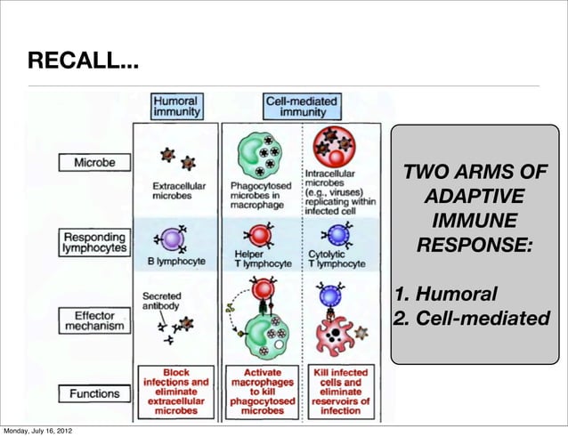 Biology 151 lecture 4 2012 2013 (part 1- cmi) | PPT