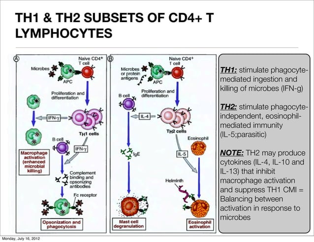 Biology 151 lecture 4 2012 2013 (part 1- cmi) | PPT