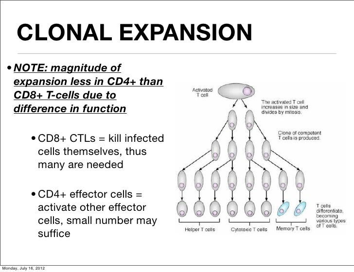 Biology 151 lecture 4 2012 2013 (part 1- cmi)