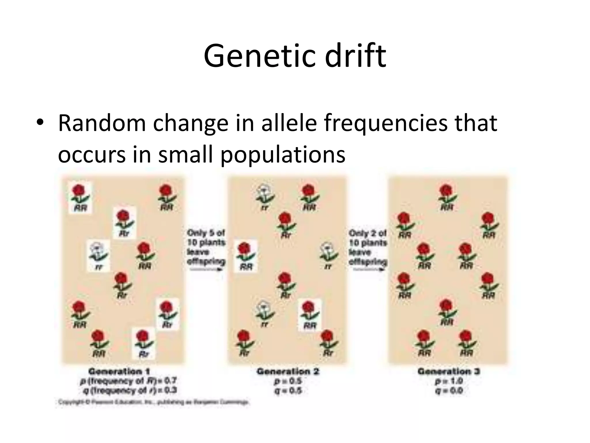 Biology 16 2 evolution as genetic change[1] | PPT