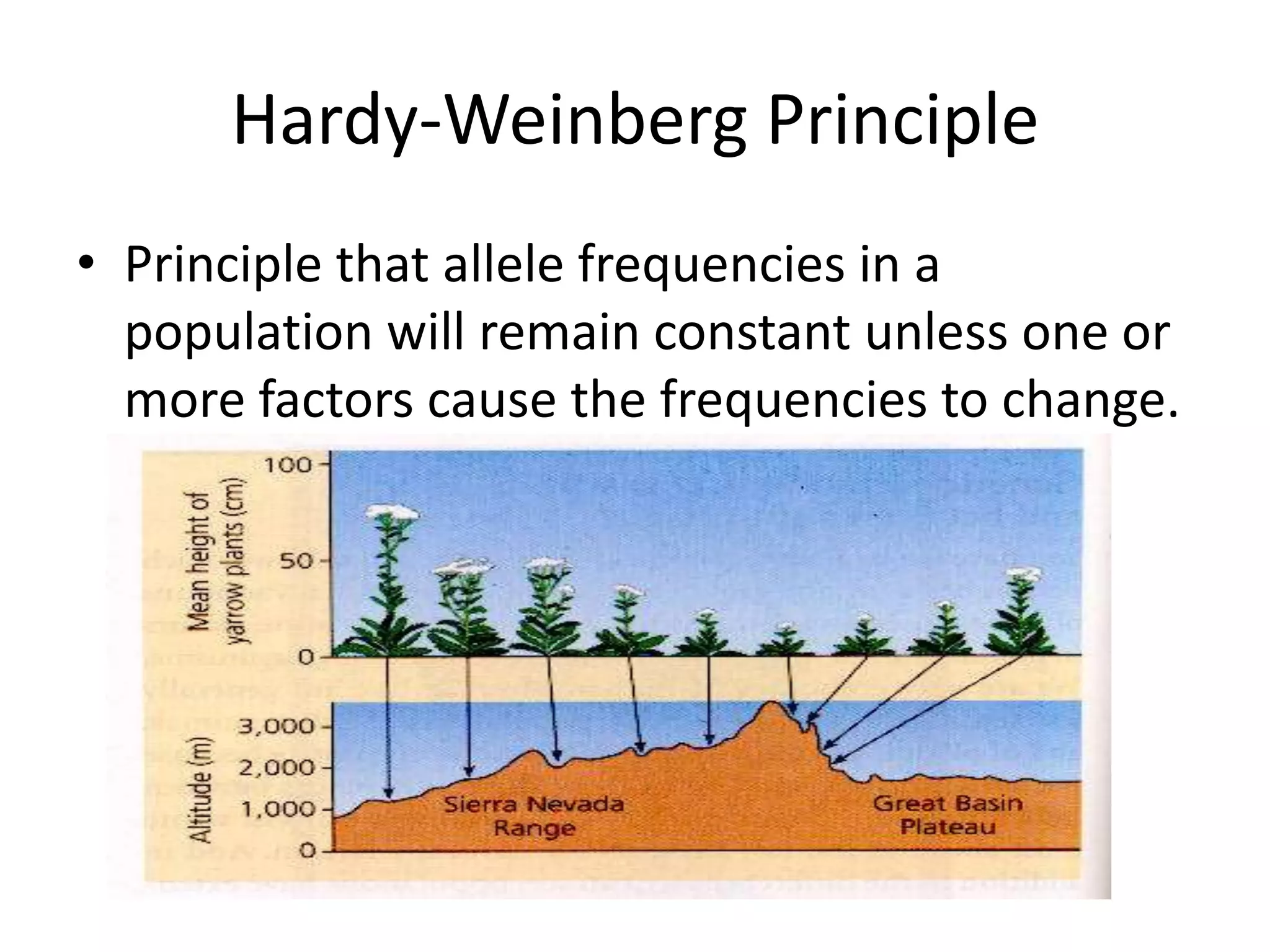 Biology 16 2 evolution as genetic change[1] | PPTX