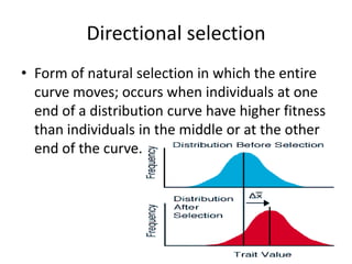 Biology 16 2 evolution as genetic change[1] | PPTX