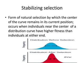 Biology 16 2 evolution as genetic change[1] | PPTX