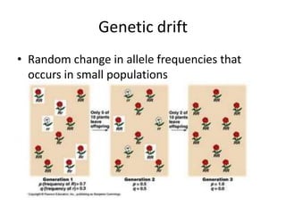 Biology 16 2 evolution as genetic change[1] | PPTX
