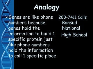 Biology 1st Semester Lesson 04 - DNA.pptx