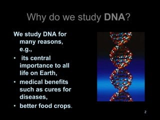 Biology 1st Semester Lesson 04 - DNA.pptx