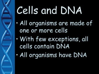 Biology 1st Semester Lesson 04 - DNA.pptx