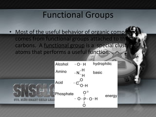 The Chemistry of Life | PPT