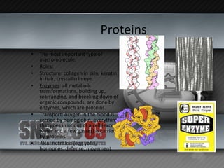 The Chemistry of Life | PPT