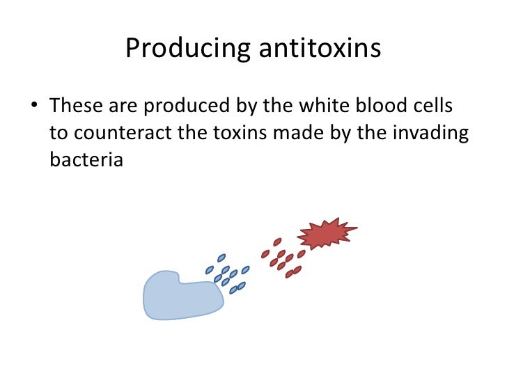 Biology revision for B1