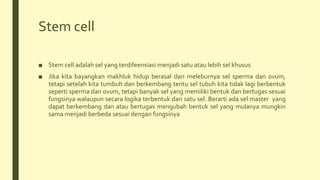Biology cell division | PPTX