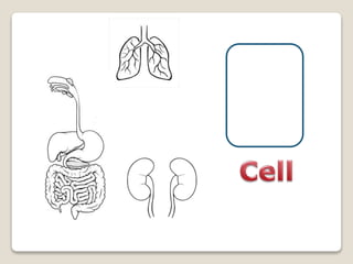 Biology 2.pptx for class x life processes | PPTX