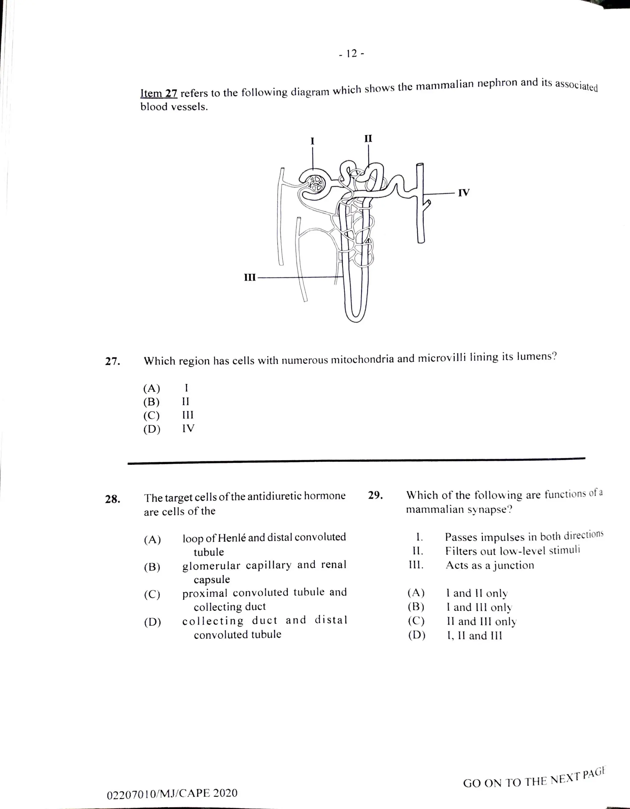 Cape Biology Unit 2 - year 2020 U2 P1 | PDF