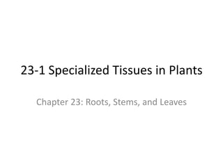 Biology 23.1 | PPTX