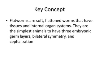 Biology 27 1 flatworms | PPTX