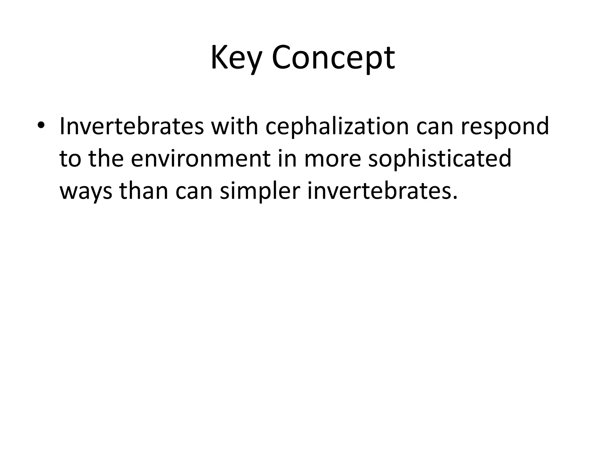 Biology 29 1 invertebrate evolution | PPTX