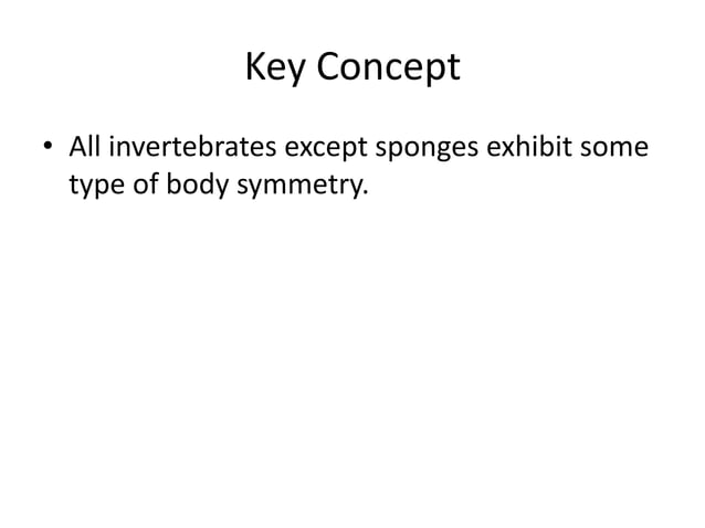 Biology 29 1 invertebrate evolution | PPTX