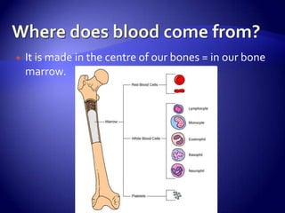 CLIL: Biology; blood cells. | PPTX