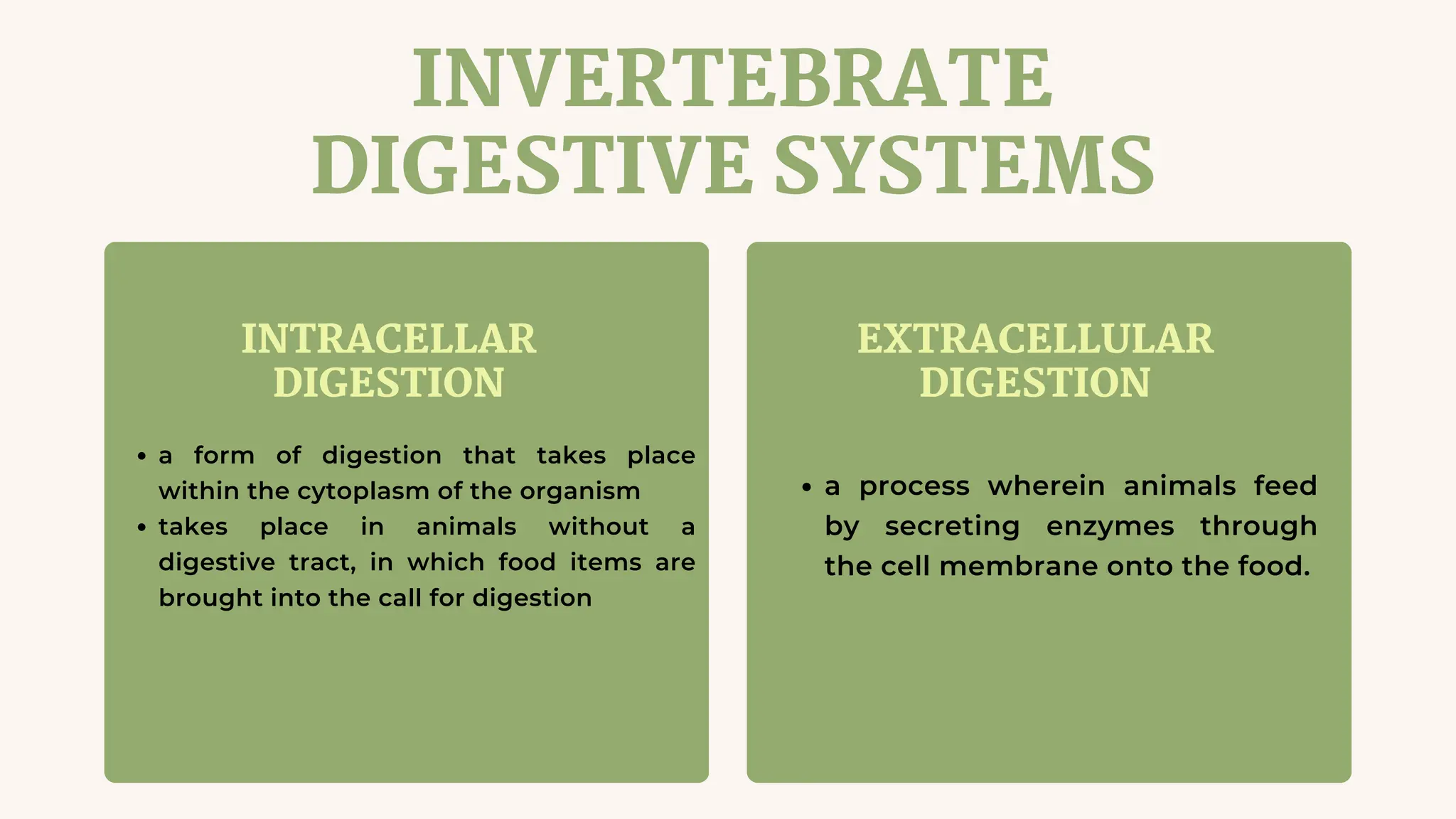 comparison and contrast plant and animal nutrition | PDF