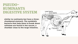 comparison and contrast plant and animal nutrition | PDF