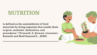 comparison and contrast plant and animal nutrition | PDF