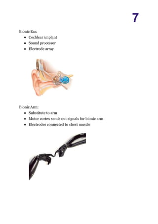 Biology presentation regarding biomedical engineering | PDF