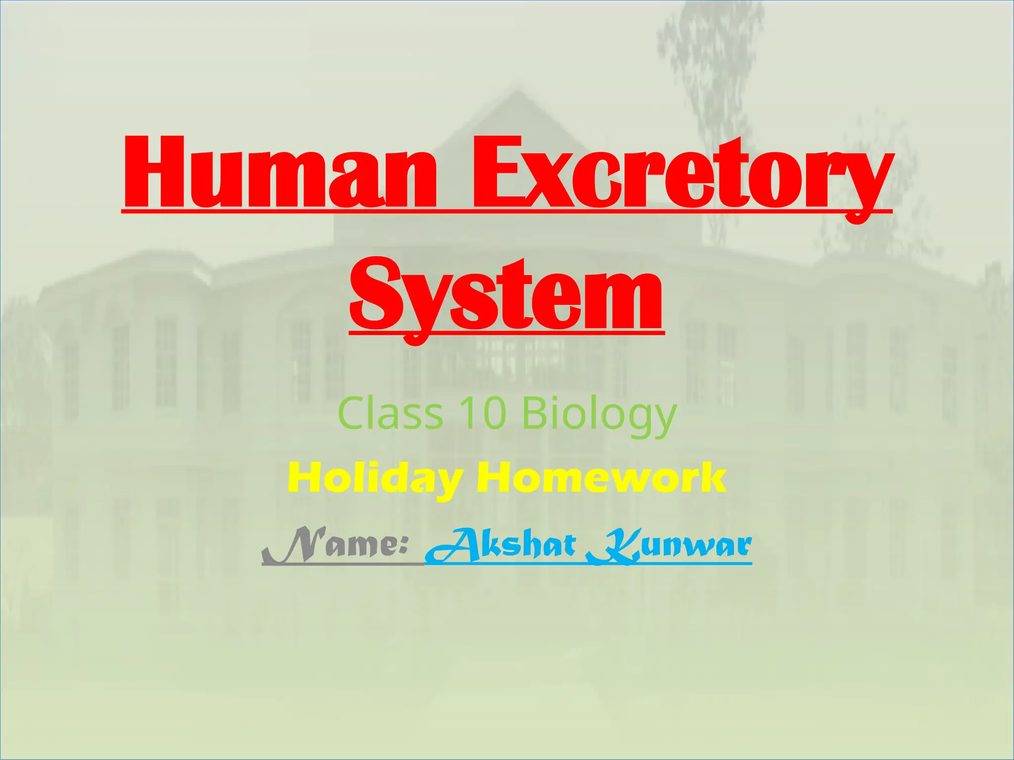 human excretory system for class 10th holiday homework of Biology ...