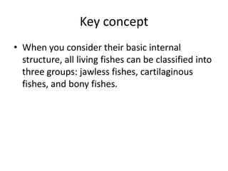 Biology 30 2 fishes | PPT