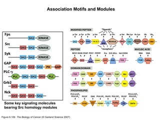 BIOLOGY34SIGNALTRANSDUCTION and other.ppt