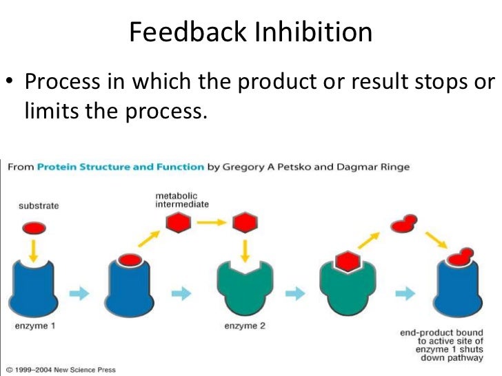Feedback Inhibition Definition Example And A Brief