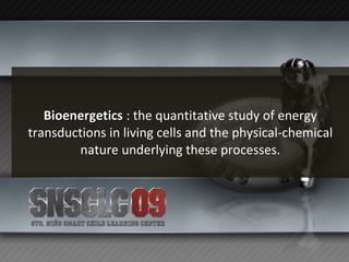 Bioenergetics | PPT