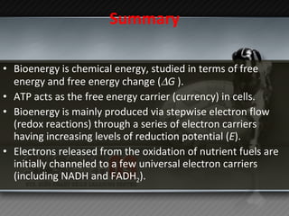 Bioenergetics | PPT