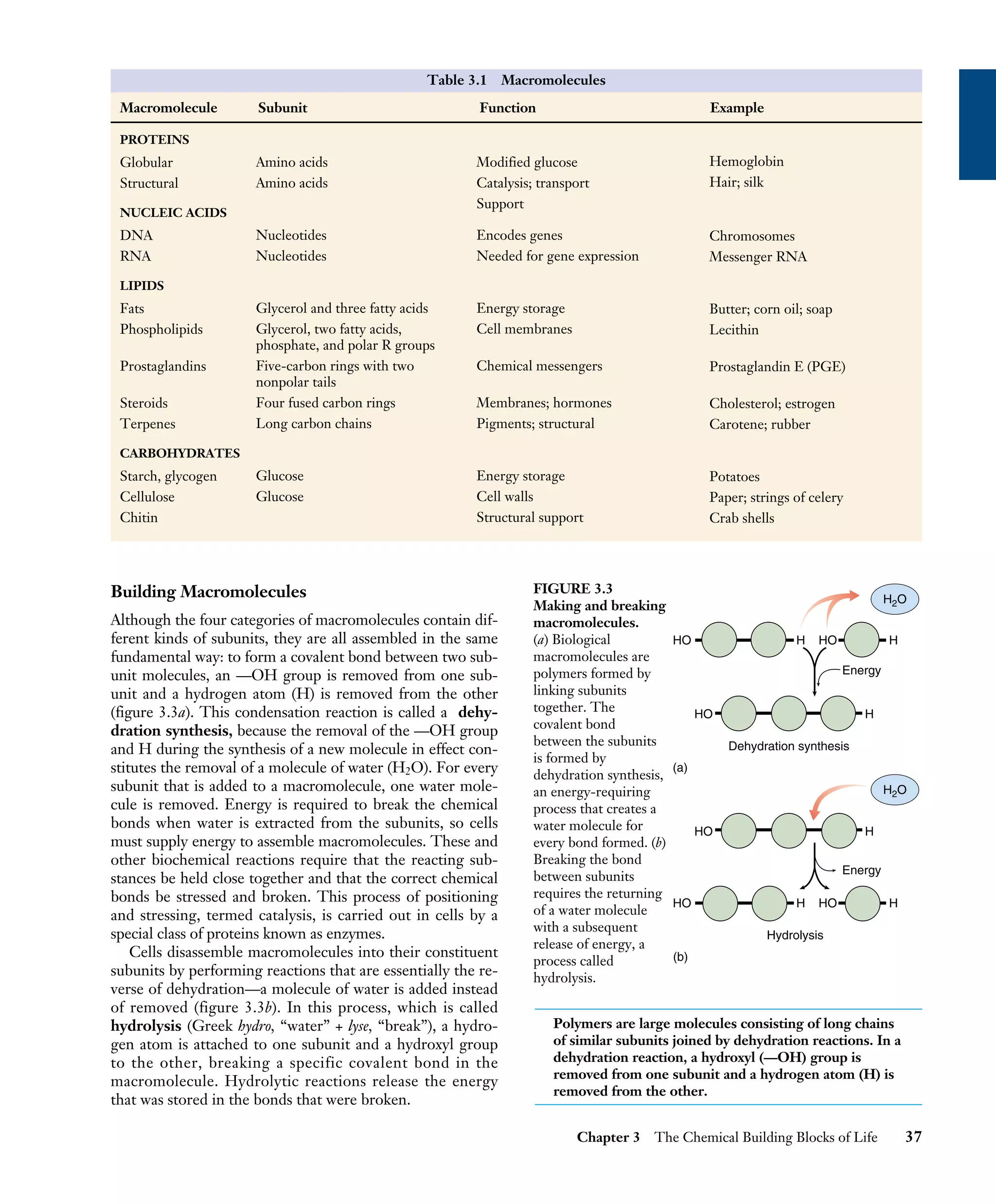 Biology 6th ed raven johnson | PDF