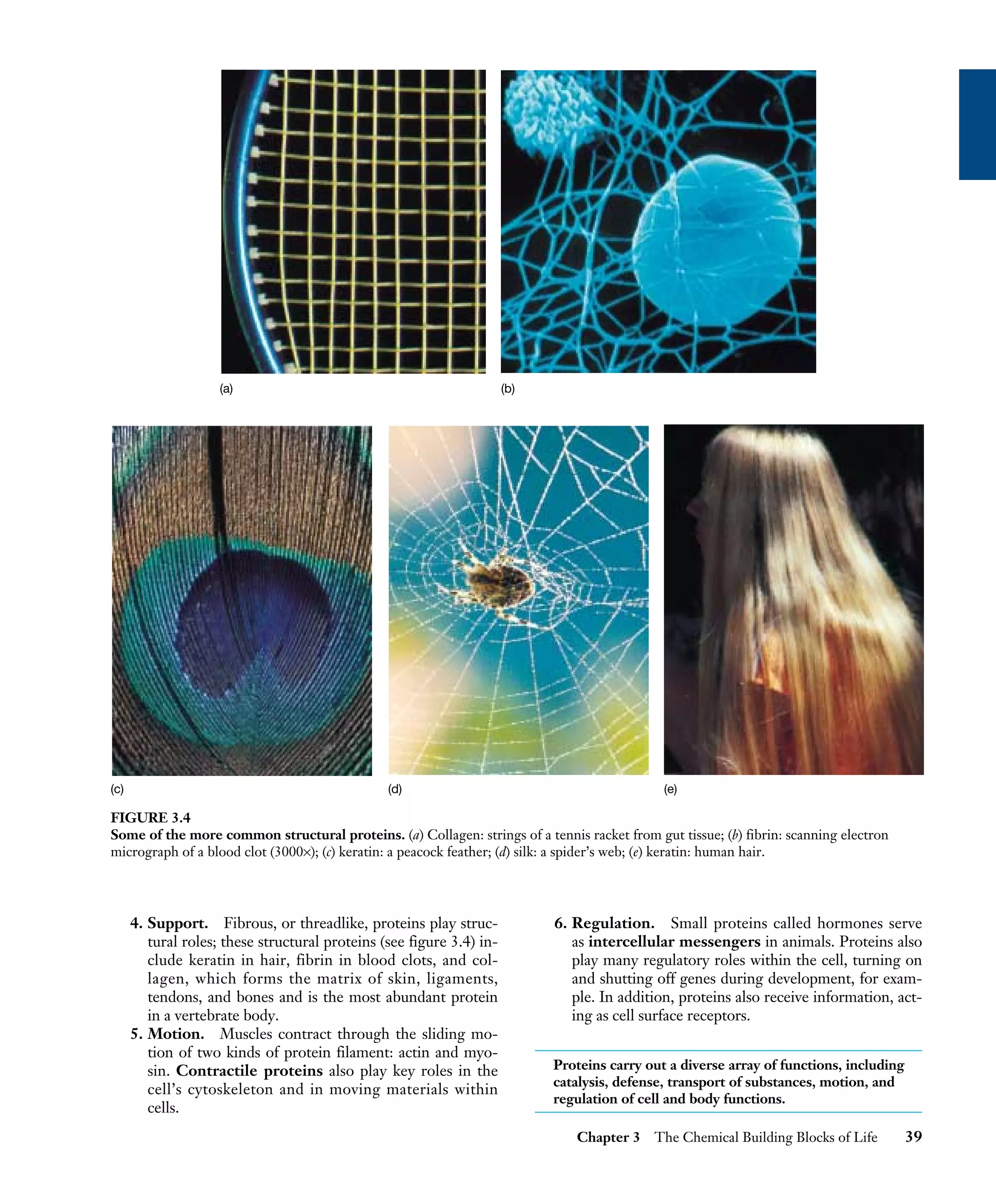 Biology 6th ed raven johnson | PDF