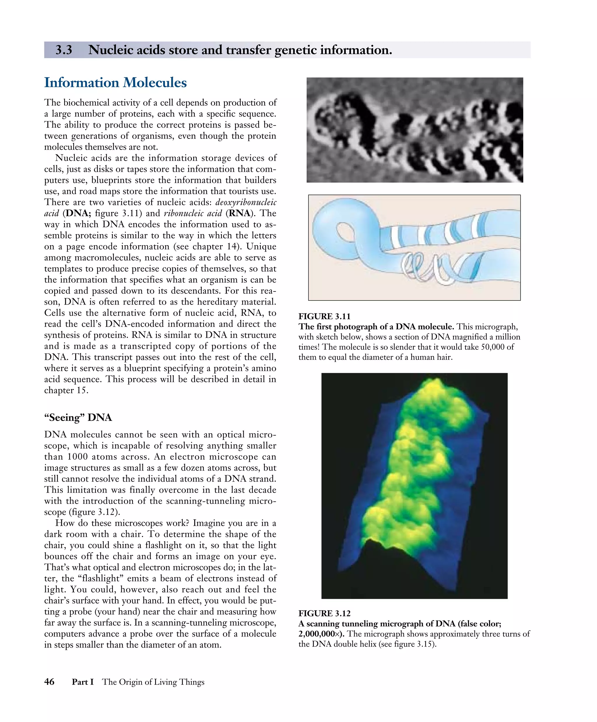Biology 6th ed raven johnson | PDF