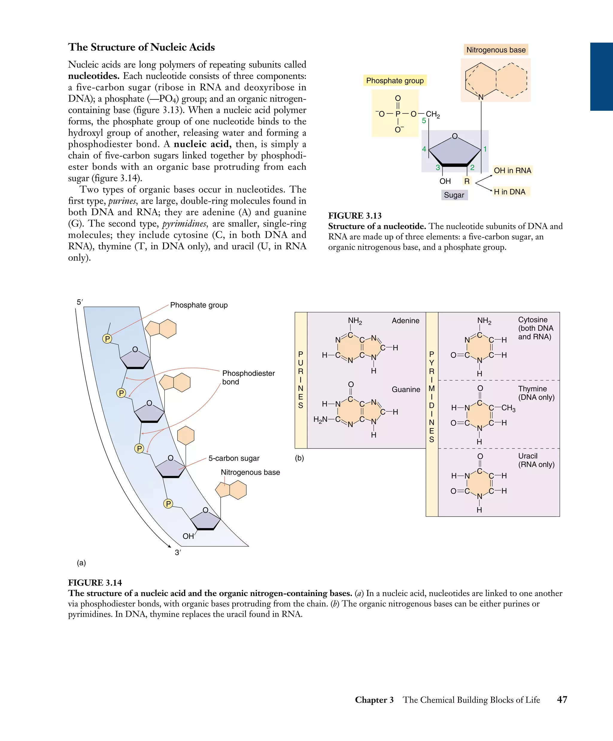 Biology 6th ed raven johnson | PDF