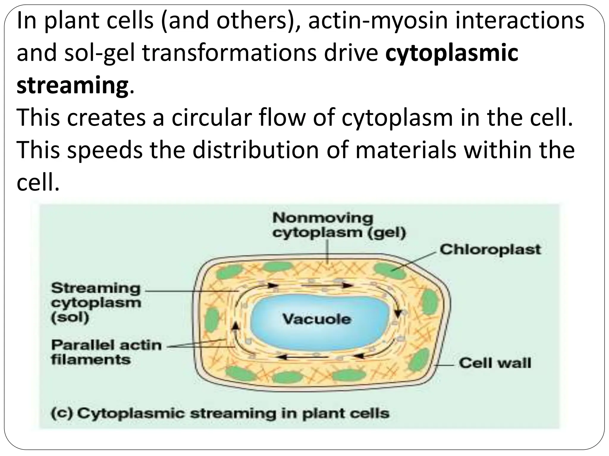biology7 cell structrue.................. | PPT