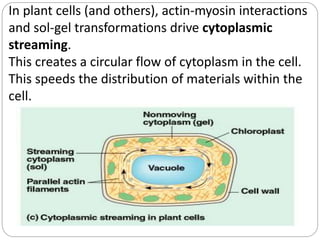 biology7 cell structrue.................. | PPT