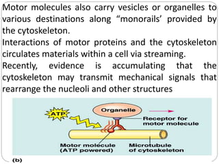 biology7 cell structrue.................. | PPT